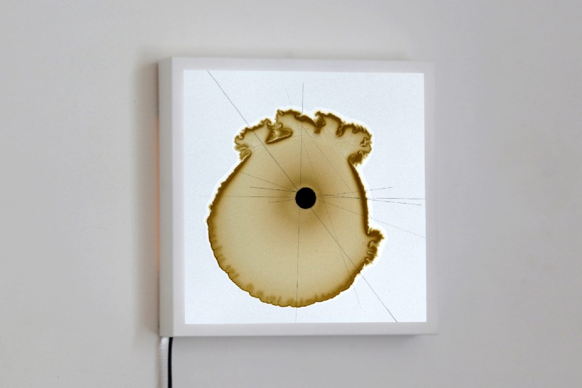 ANAT CSIRO Residencies 2019 | ANAT