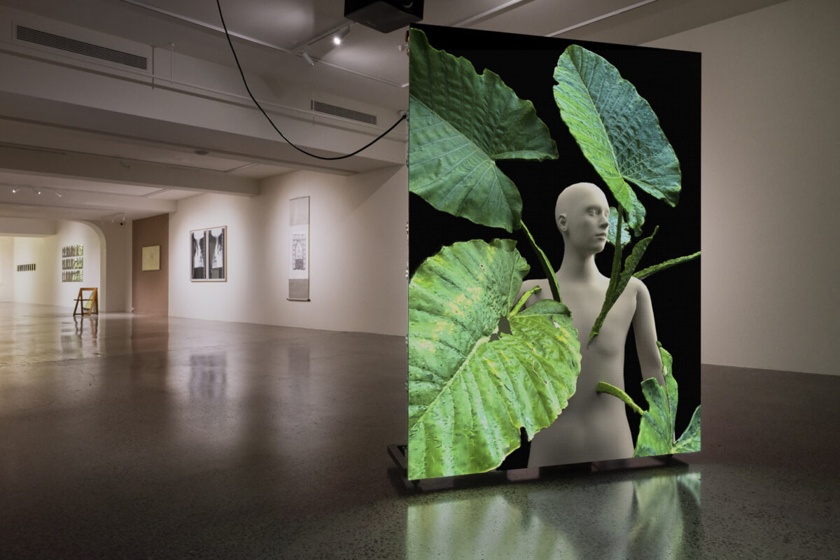 Introducing Yandell Walton’s Move Me | ANAT