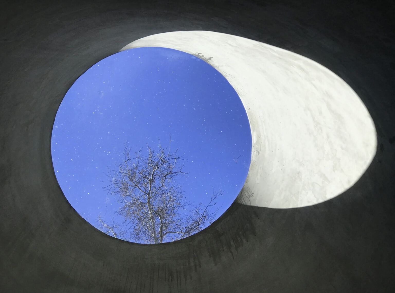 Q&A August 2025 | ANAT